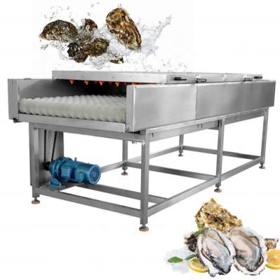 China Water Save Customized Brush Roll Avocado Washing Orange Cleaning Machine for sale