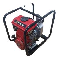 China High Pressure Gasoline Engine 170F for Personal and Portable Water Pump from OEM for sale