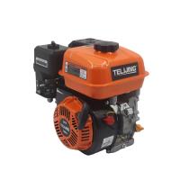 China Electric Start 5.5hp 7hp 9hp 13hp 14hp 16hp 19hp Gasoline Engine for Commercial Needs for sale