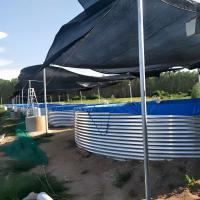China Flexible Water Tank for Recirculating Aquaculture System Tilapia Fish Farming 3m-7m Diameter for sale