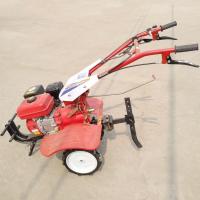 China Gasoline Engine Mini Rotary Tiller 1WG-4Q 4KW 3600r/min Walking Tractor for Farm for sale