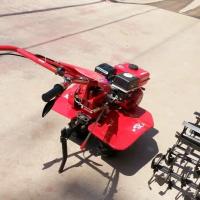 China Gasoline Engine Mini Rotary Tiller 1WG-4Q 4KW 3600r/min Walking Tractor for Farm for sale