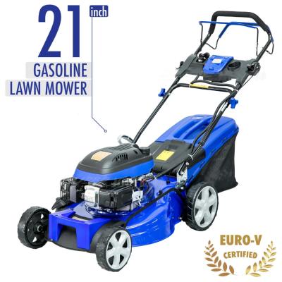 China 3600W Hand Push Lawn Mower 530mm Cutting Width 60L Collection Bag Wholesale for sale