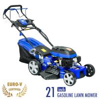 China 3600W Hand Push Lawn Mower 530mm Cutting Width 60L Collection Bag Wholesale for sale