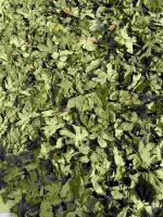 China Dried Raspberry Leaf Tea - 2-3g Dosage, 14% Moisture, Whole/Granule/Cut Forms for Herbal Wellness for sale