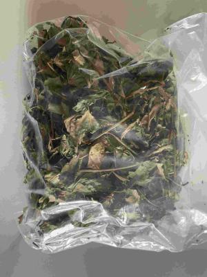 China Dried Raspberry Leaf Tea - 300x Sweetness Natural Sweetener with Less Than 14% Moisture Content for sale