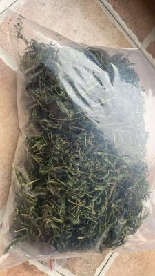 China Dried Raspberry Leaves Natural Sweetener with 300x Sucrose Sweetness and 5-7% Sweet Tea Content for Beverage and Food Applications for sale