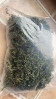 China Dried Raspberry Leaves Sweet Tea - 5-7% Stevioside Content, 300x Sucrose Sweetness for sale