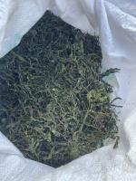 China Natural Sweet Tea Extract Chinese Sweet Leaf Plant Extract 0 Calories Herbal Tea for sale