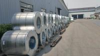 China 0.14mm Hot Dipped GI Sheet Coil Galvanized Steel  Dx51d for sale