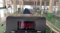 China Automatic 380V Vegetable Sorting Machine For Bell Pepper for sale