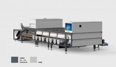 China Hawthorn Sorting And Grading Equipment 6.3KW High Speed 6 Channel for sale
