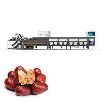 China 6 Channel Dates Industrial Sorting Machine 380V Free Maintenance for sale