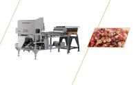 China High Speed High Yield Pepper Crawler Sorting Robot 0.5 - 1T/H for sale