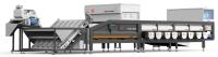 China Automatic Dates Sorting Machine 8 Channel 7KW Electric Drive For Jujubes for sale