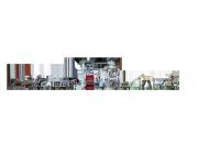 China Computer Control SS Nuts Processing Machine For Walnut Shelling Sorting for sale
