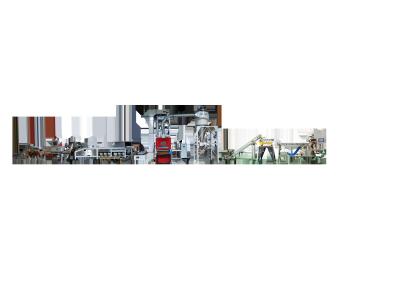 China Computer Control SS Nuts Processing Machine For Walnut Shelling Sorting for sale