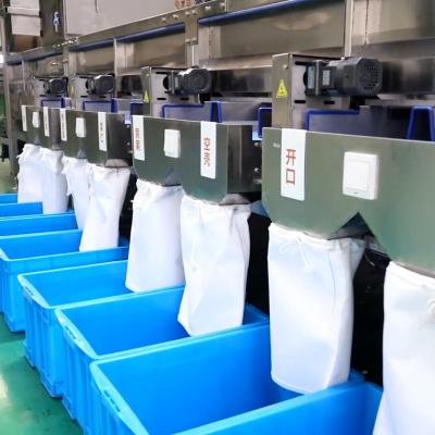 China 20 Feed Channels Pistachio Nuts Sorting Machine With Automatic Cleansing for sale