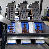 China Stainless Steel 12 Channels Nuts Sorting Machine For Macadamia for sale