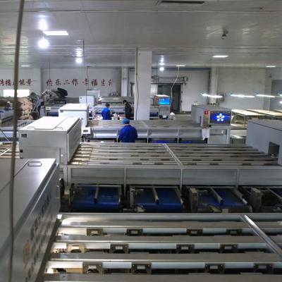 China Food Grade Inshell Chestnut Sorting Machine 6 Channels for sale