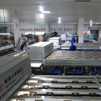 China 7kW High Output Inshell Chestnut Sorting Machine With 8 Discharge Ports for sale