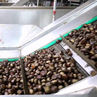 China Stainless Steel Inshell Chestnut Sorting Machine With 2.5 Tons Capacity for sale
