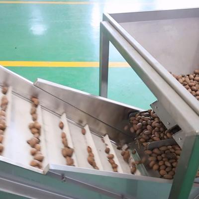 China CE Endorsed Pecan Nuts Sorting Machine 7kW 380V Capable 1-2 Tons With 8 Gates for sale