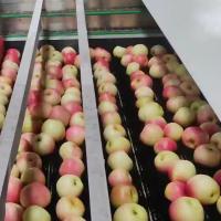 China Mechanical Apple Black Sorting And Grading Machine 360° Rotational Scanning for sale
