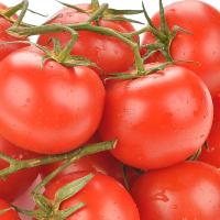 China Computer Control Tomatoes Black Sorting And Grading Machine 380V 6 Channels for sale