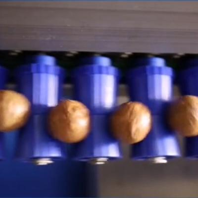 China Intelligent Silver Macadamia Nuts Sorting Machine 380V 6 - 20 Lanes for sale