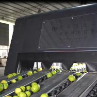 China Intelligent 6 Lanes Lemons Sorting Grading Machine Stainless Steel Material 380V for sale