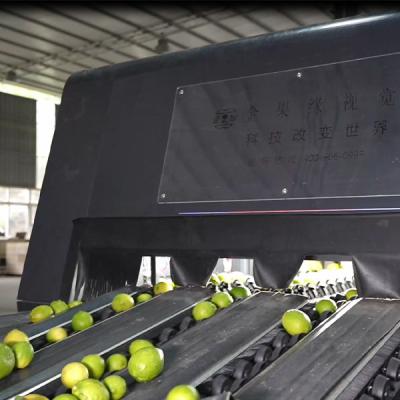 China Intelligent 6 Lanes Lemons Sorting Grading Machine Stainless Steel Material 380V for sale