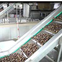 China 380V Intelligent Rotational Scanning Silver Chestnuts Sorting Machine 6 - 20 Lanes for sale