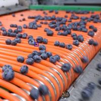 China Electric Drive Intelligent Blueberry Sorting Grading Machine 380V 6 Lanes for sale