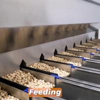 China 16 Channels High Speed Intelligent Pistachio Sorting Grading Machine Computer Control for sale
