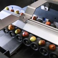 China 8 Lanes 380V Dates Fruit Sorting Grading Machine Computer Control for sale