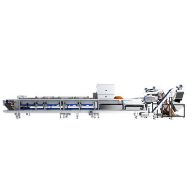 China 380V Large Output Silver Intelligent 360 Degree Rotational Scanning Dates Sorting Machine for sale