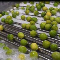 China Intelligent 6 Channels Lemons Sorting Grading Machine 360° Rotational Scanning for sale