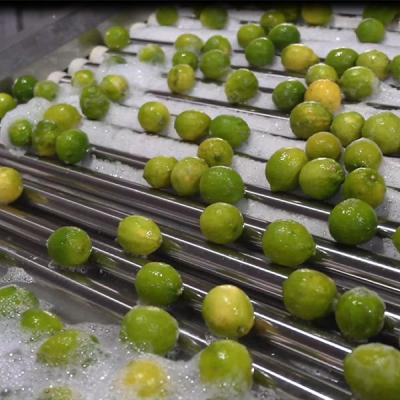 China Intelligent 6 Channels Lemons Sorting Grading Machine 360° Rotational Scanning for sale