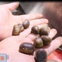 China 6 - 20 Lanes Silver Chestnuts Sorting Machine 360 Degree Rotational Scanning for sale