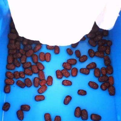China 3 Ton/H Output 1-Year Warranty Red Dates Sorting Machine With CE Certificates for sale