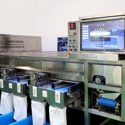 China 8 Discharge 7.93kW 1500kg/H Inshell Pistachio Nut Sorting Machine With 99.9% Accuracy for sale