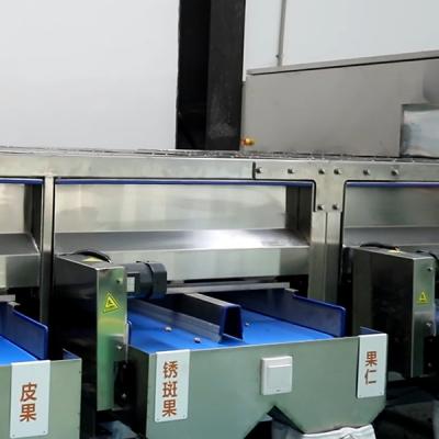 China CE Certified 99.9% Accuracy High Output Pistachio Sorter Nut Grader With 8 Discharge Ports for sale