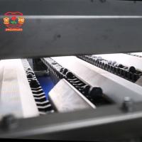 China Automatic Blueberries Sorting Machine With PLC Control 99.9% Accuracy for sale