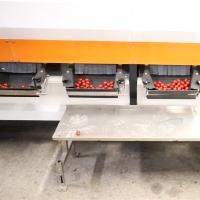 China 380V / 50Hz Apex Sorting Machine For Cherry Tomatoes With 99.9% Accuracy for sale