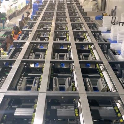 China 360° Rotational Scanning  Plum Application 8 Lanes Industrial Automation System for sale