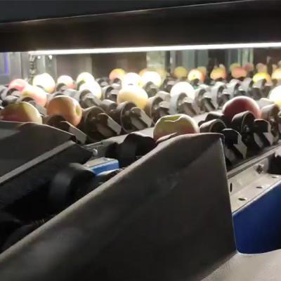China High Accuracy 99.9% Apple Sorting Machine Stainless Steel 380V for sale
