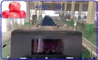 China Stainless Steel Apple Sorting Machine PLC Control With 10 Channels for sale