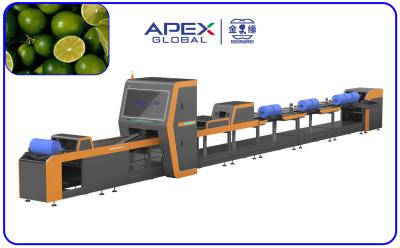 China 380V / 50Hz Automatic Lemon Sorting Machine With PLC Control System for sale