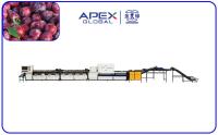 China 380V/50Hz Computer Control Intelligent Plum Sorting Machine for sale